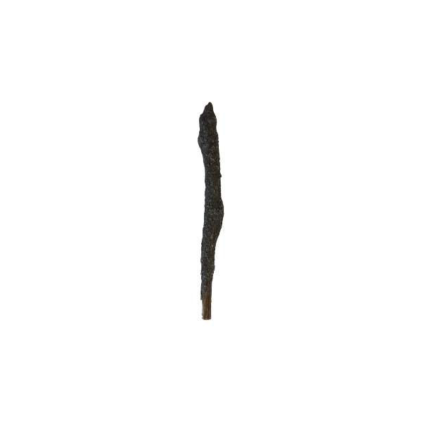 Sage Tree Dipped Black Copal Branch Stick Bundle – LUCA